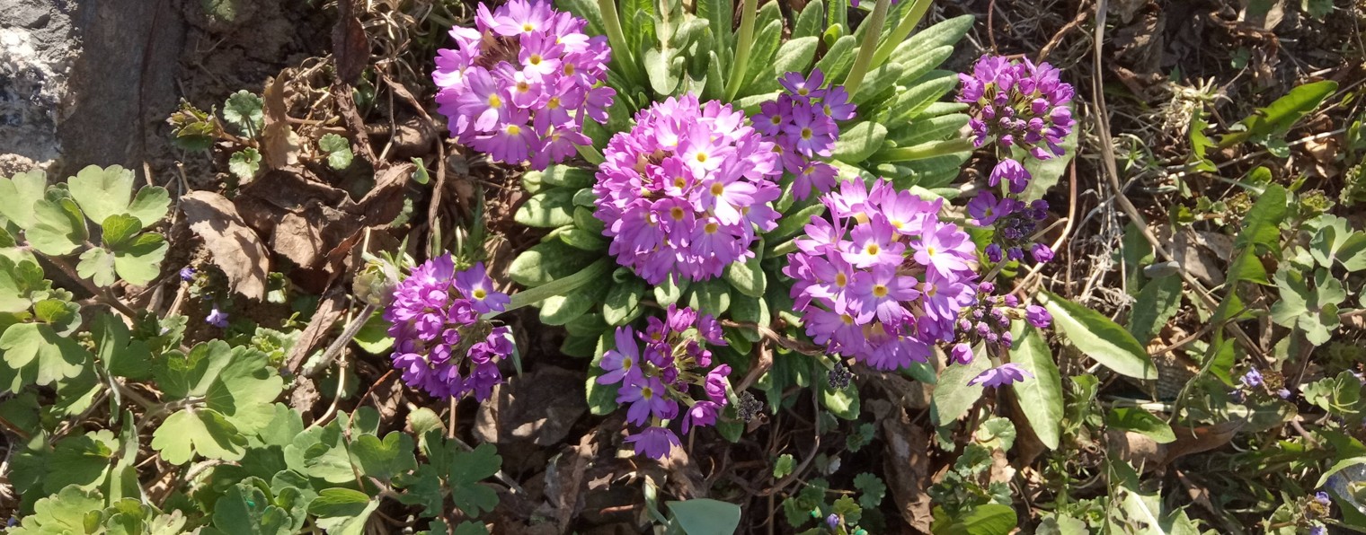 Простые радости жизни