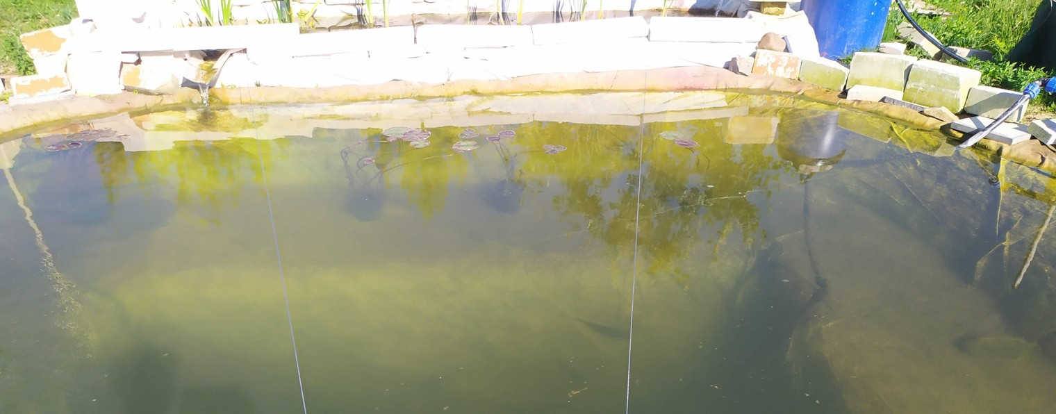 Пруд на даче