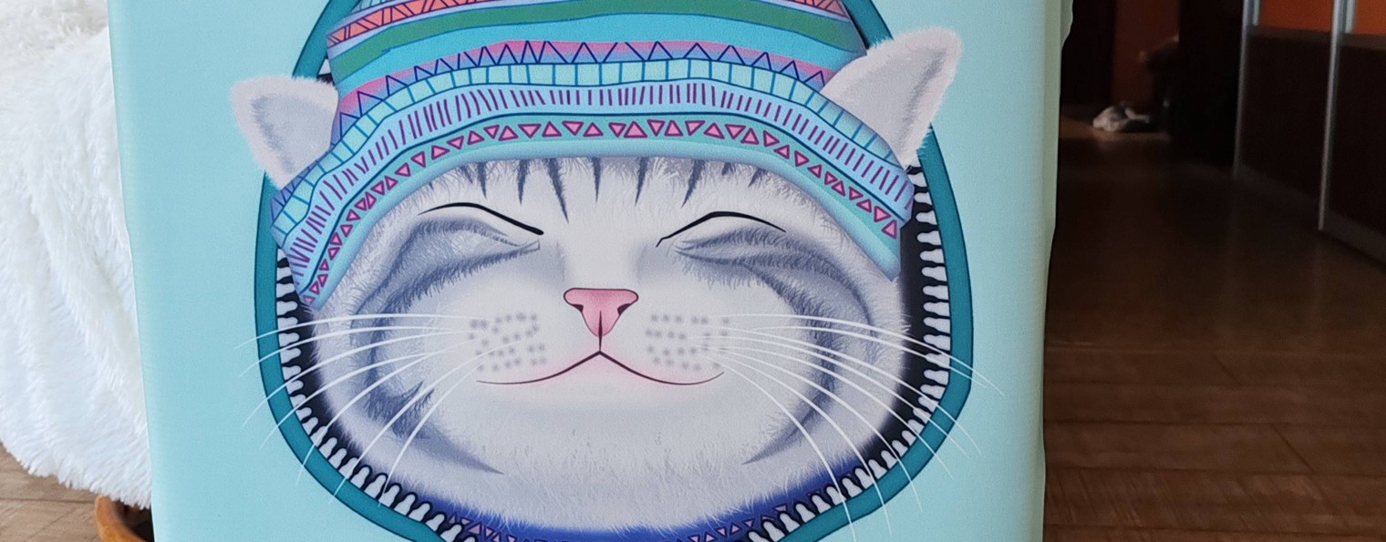 Блогер недоделанный