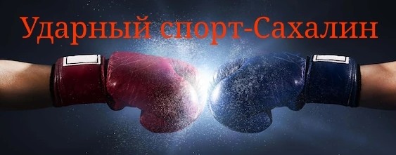 Андрей Шуйский-Бокс-Кикбоксинг-Сават-Тайский-АРБ