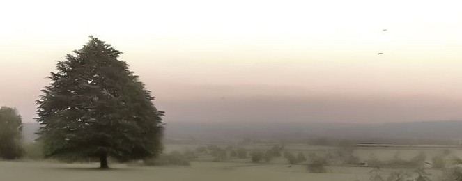 𒆜๕ᥲ𝓶ì𝗻ɠ𒆜