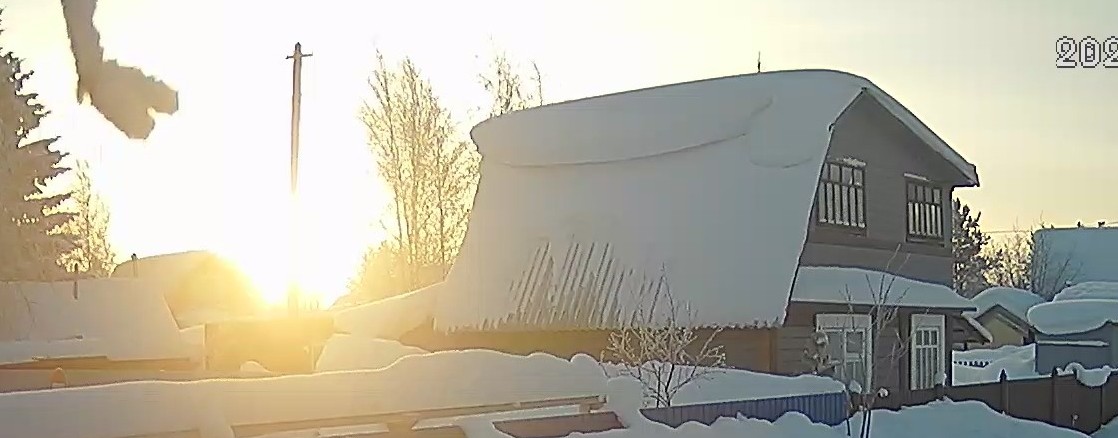 Живущие на дачке