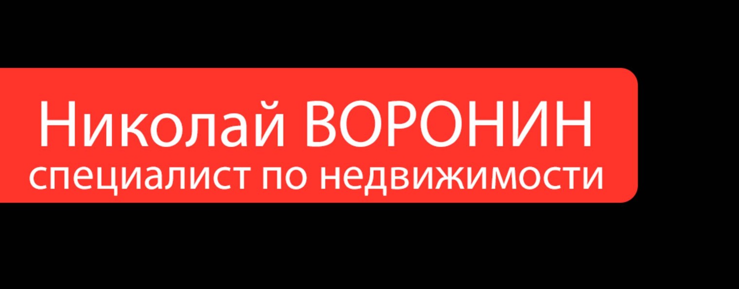 Николай Воронин Эксперт по недвижимости