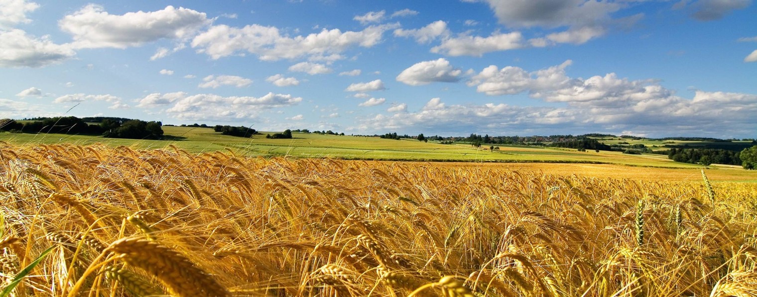 МОСОБЛАГРОСНАБ.   ТЕХНИКА. ЗАПЧАСТИ. СЕРВИС.
