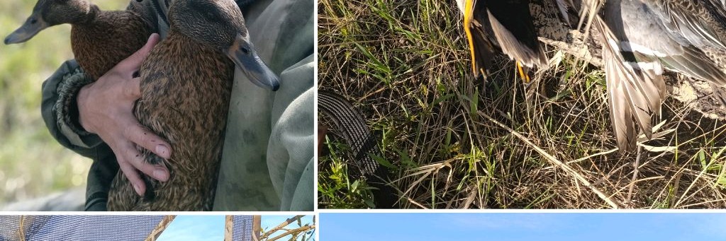 Андрей с охотой на Охоте))