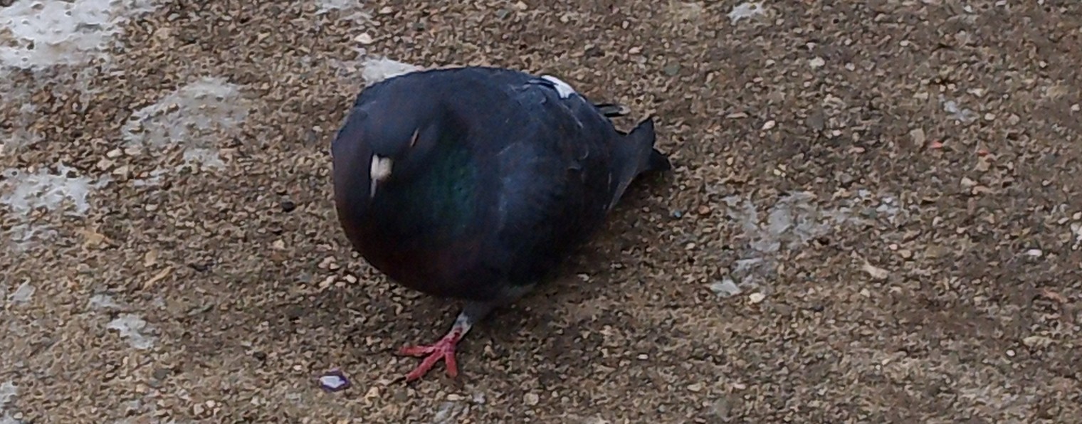 ★Minky May★ 👾🍵