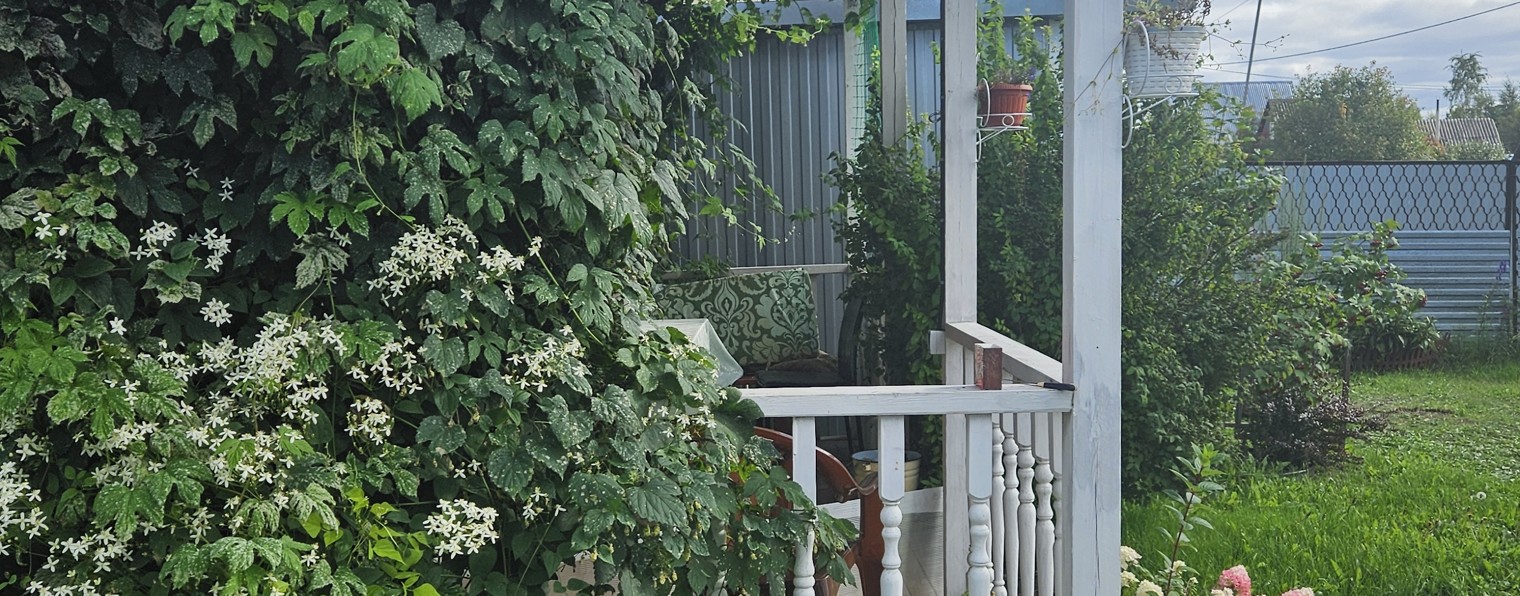 Елена (дача на севере