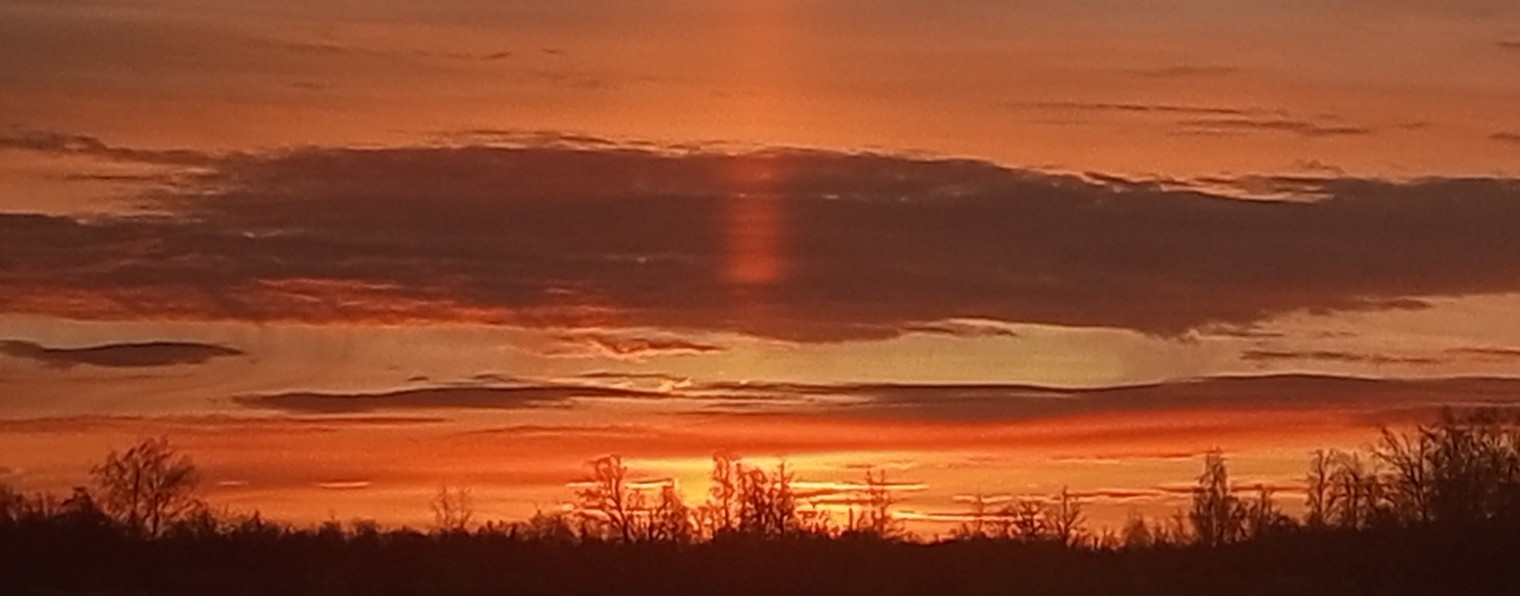 Ремонт всего на свете