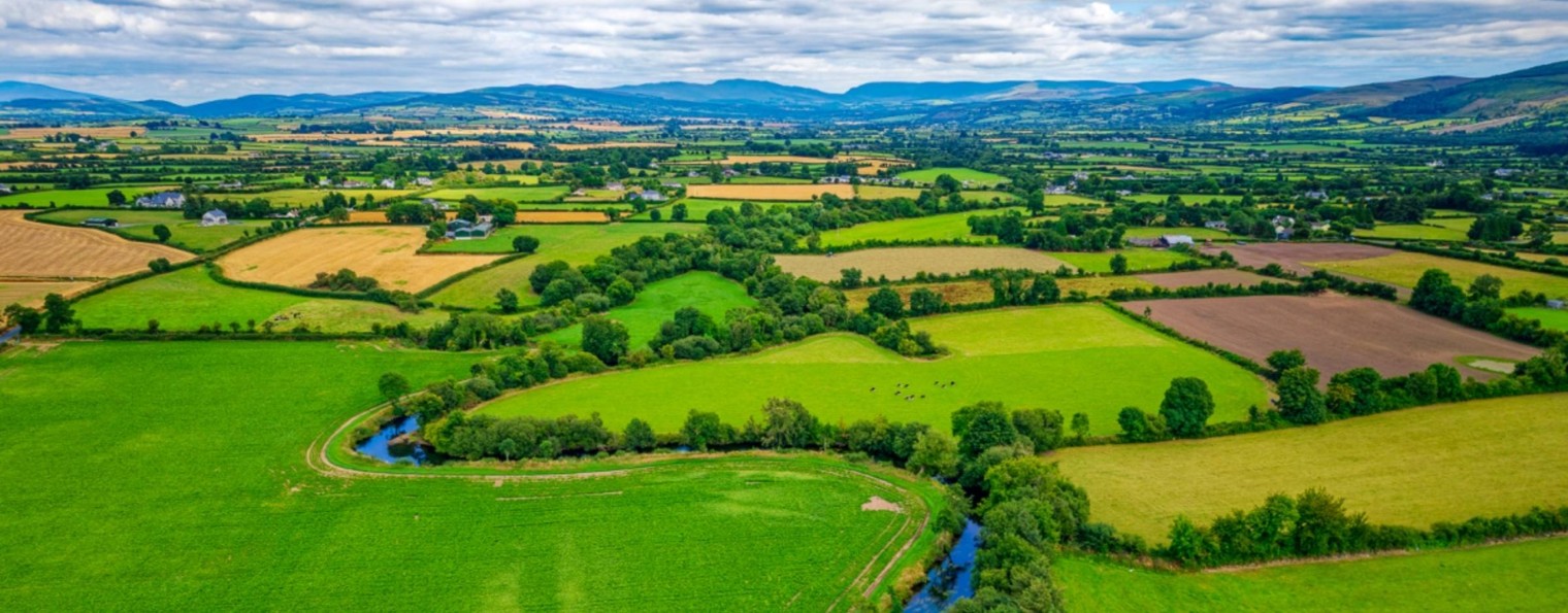Волшебница с Изумрудного острова