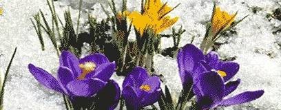 Нина Верединская