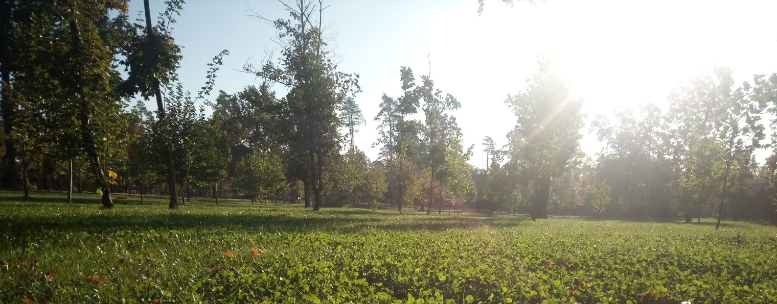 Гармония природы