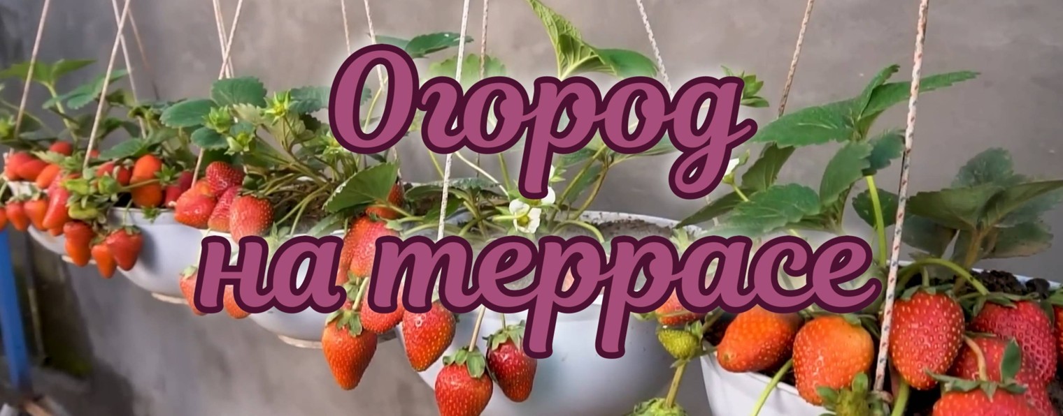 огород на террасе