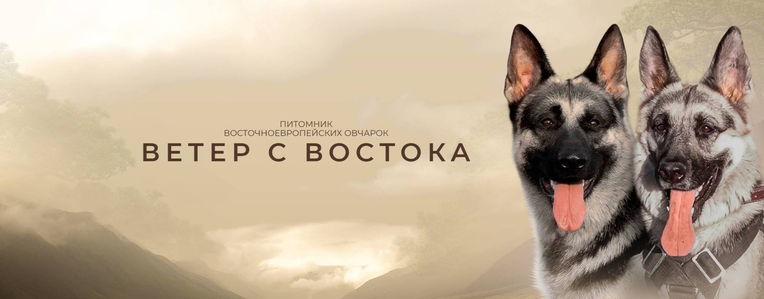 Восточно-европейская овчарка. От щенка и до...