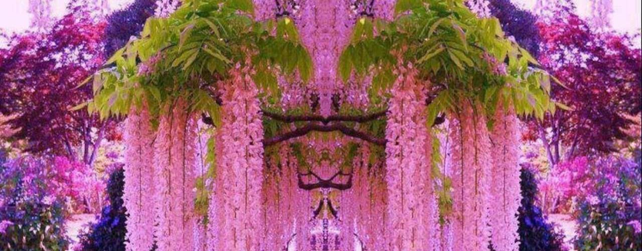 Канал разное (природа,погода, растения)