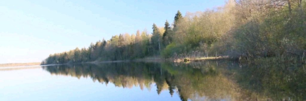 СВЕТЛАЯНА (Маргарита Воронцова)