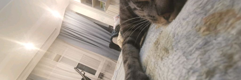 Лысая женщина