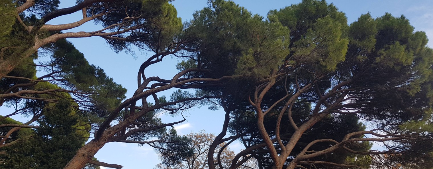 Гармония хаоса или Творческий хаос-путь к гармонии