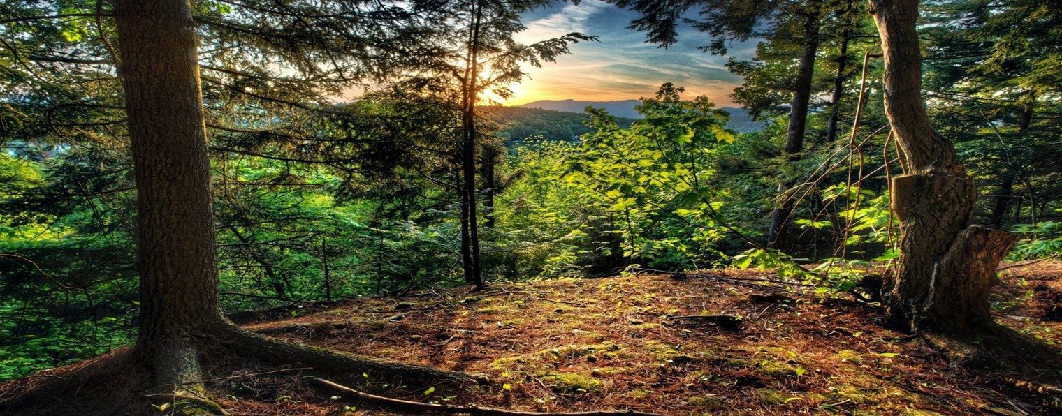 Дмитрий Батов