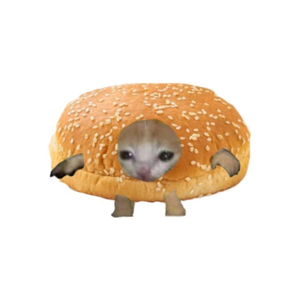 ꂵ꒐ꇙꇙ_꒯꒐ꋬꋊꋬ