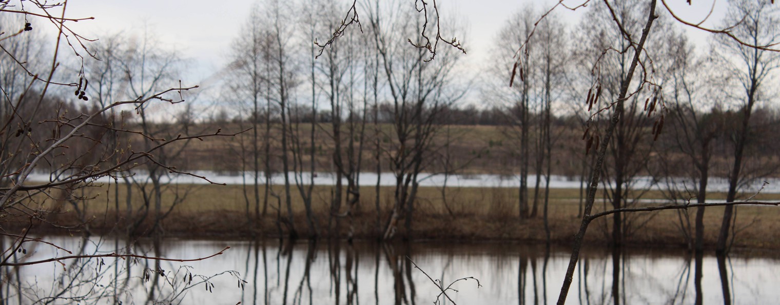 Ст.ТВ  ПритяжениеФМ