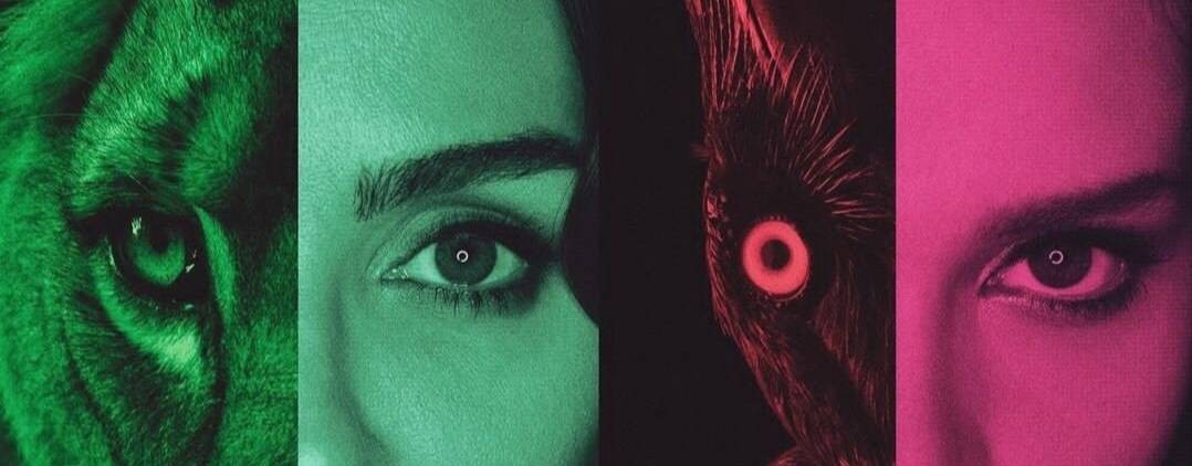 Сериал Полёт птицы / Kus Uçusu