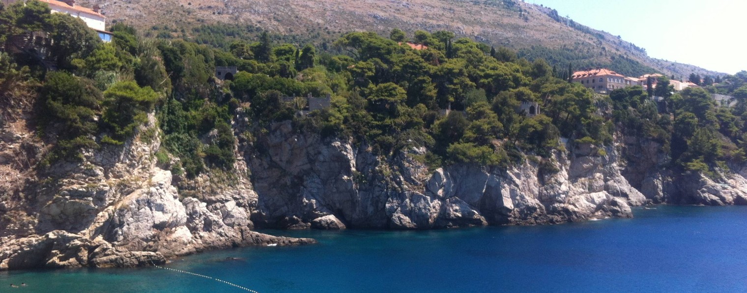 Очарованный странник