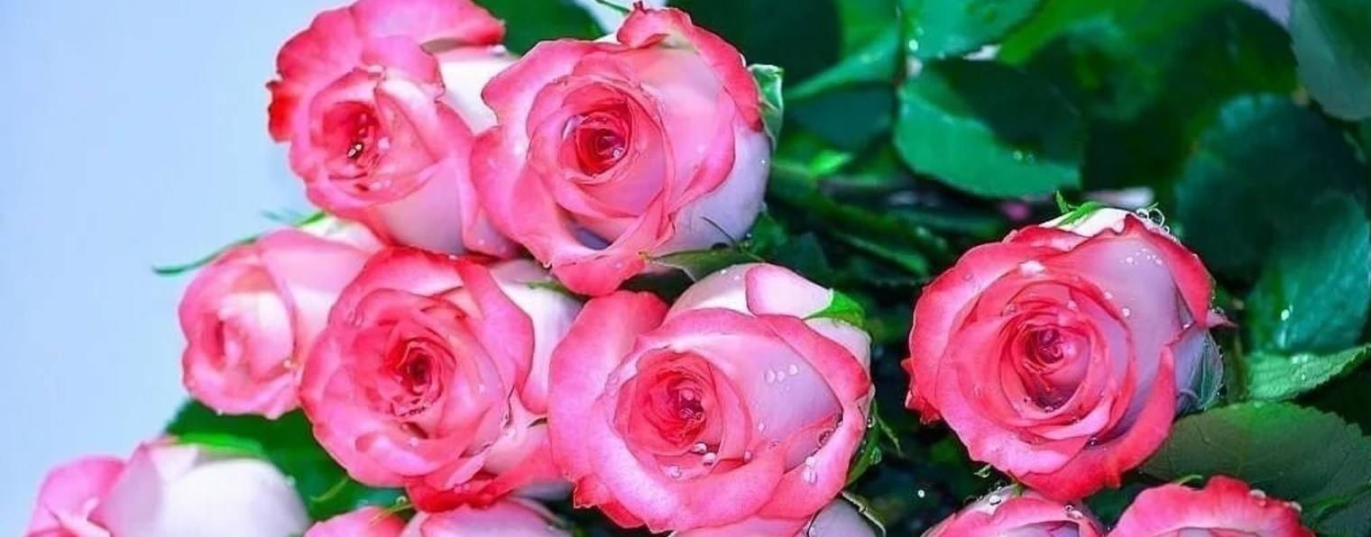 ЗИНАИДА СЫСУЕВА