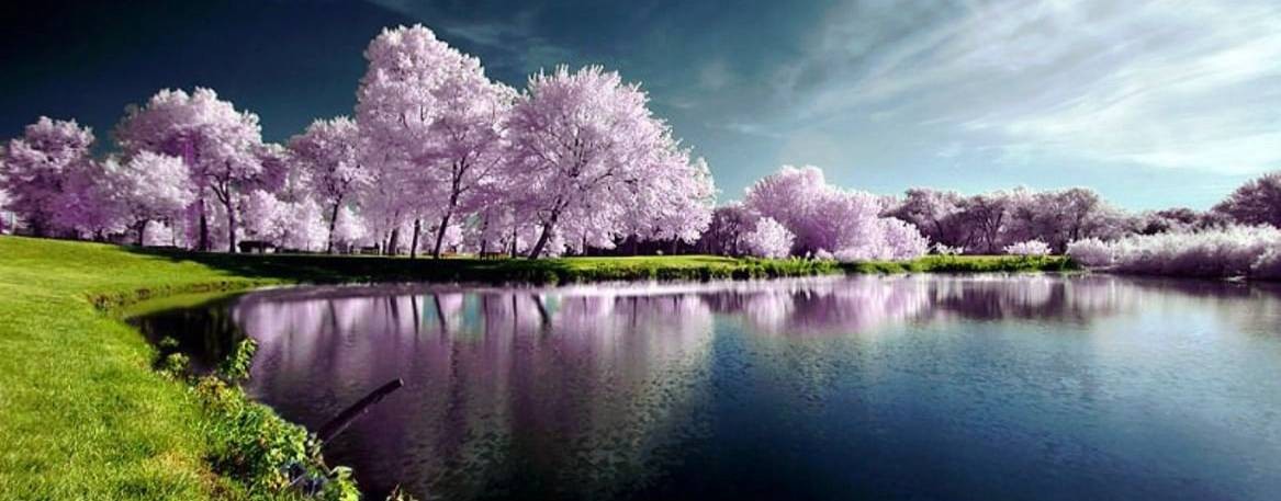 Мои истории