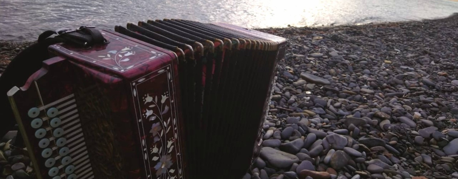 Игорь Шипков - Гармонист