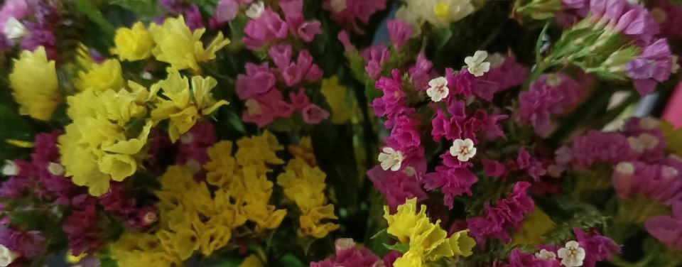 Все Гениальное Просто