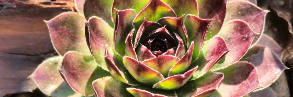 Райская Жизнь Краснодарского Края