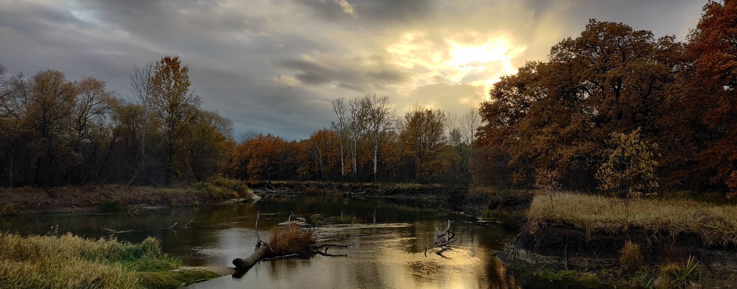 Прогулки на природе