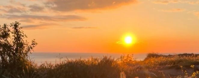 Елизавета Шептиева | цифровой психолог