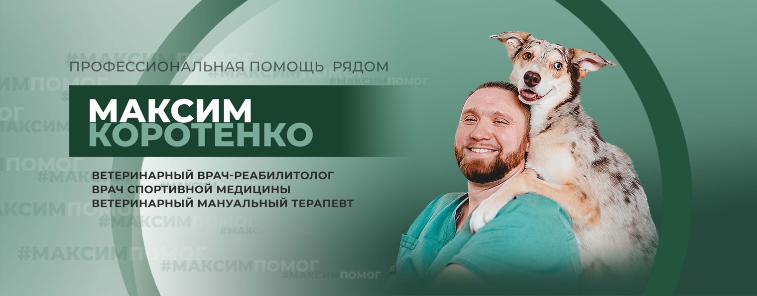 МаксимПомог