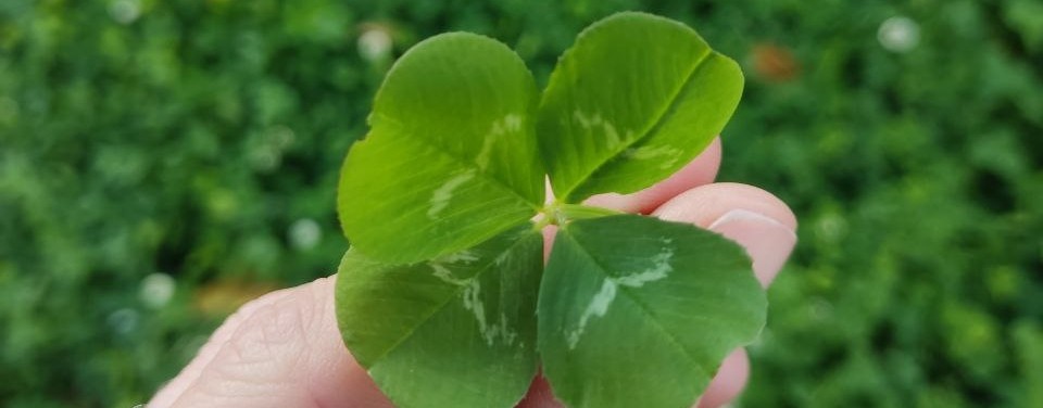 Алёна | С юмором по жизни