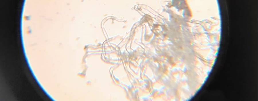 Грачева Ольга