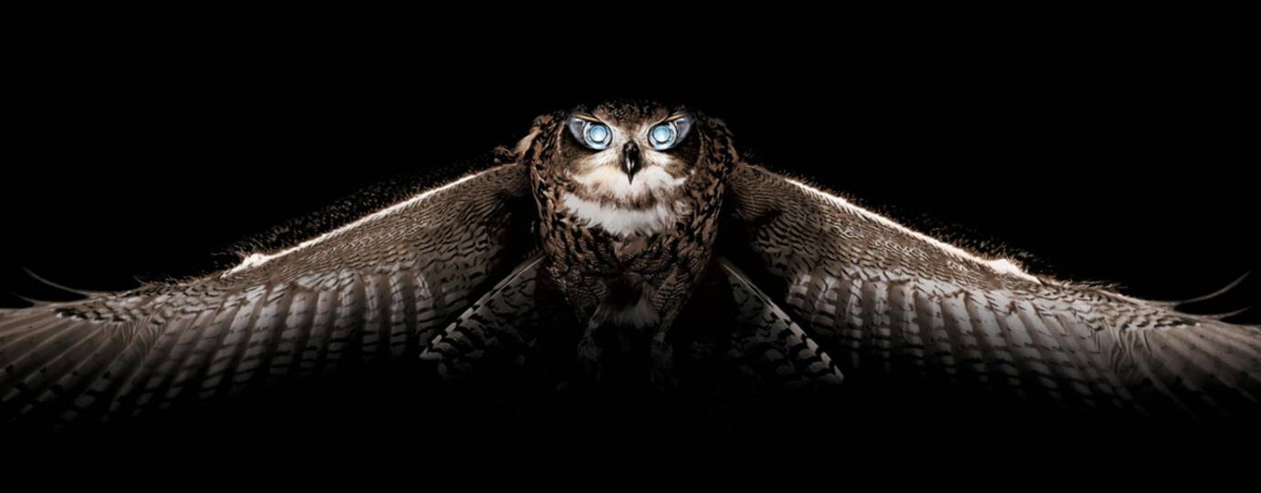 сид сидибар