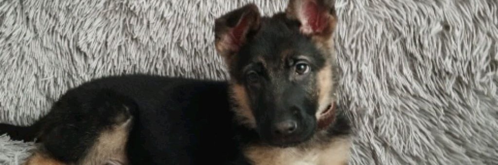 За здоровый образ жизни!!!