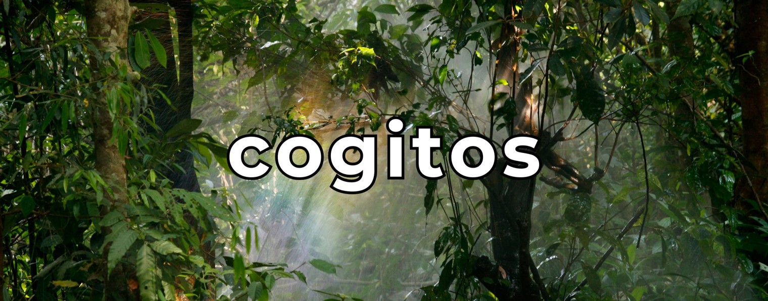 cogitos