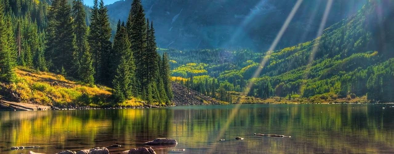 Наталья А. Теличкина