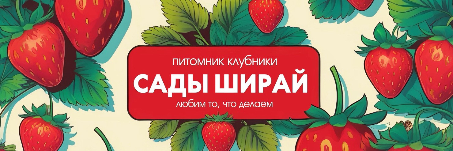 Питомник клубники Сады Ширай