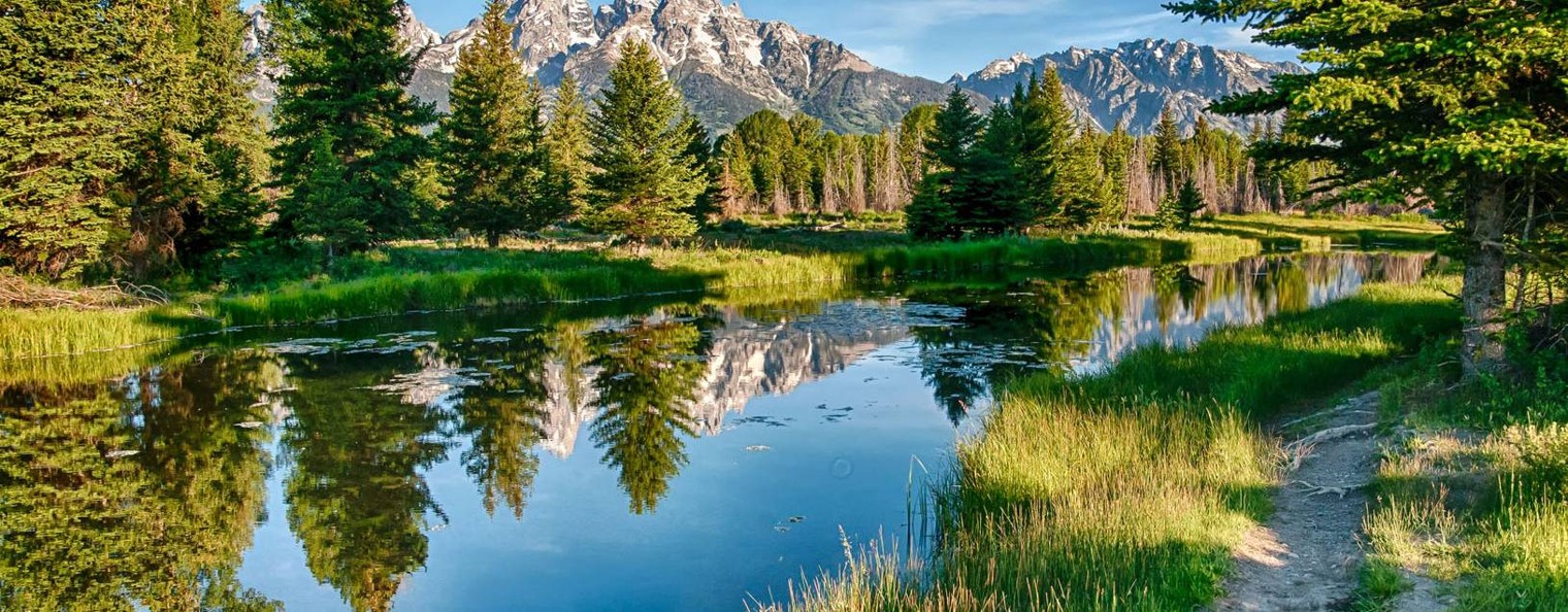 ЛЮБИМЫЕ СТИХИ И ПЕСНИ