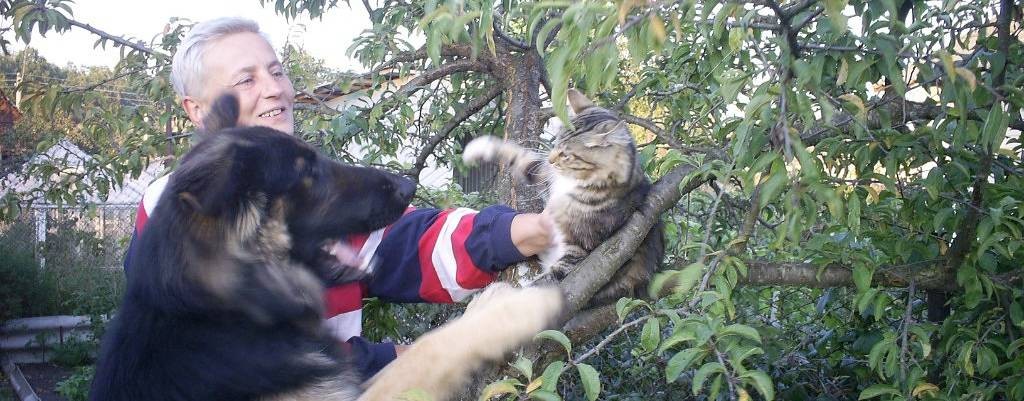 Элла Инютина