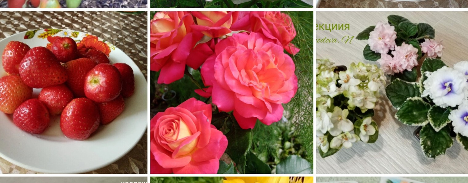 Увлеченный садовод 🌱 Сибирь