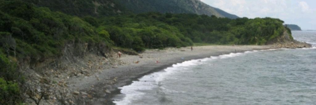 Аутизм у взрослых, нейроотличие