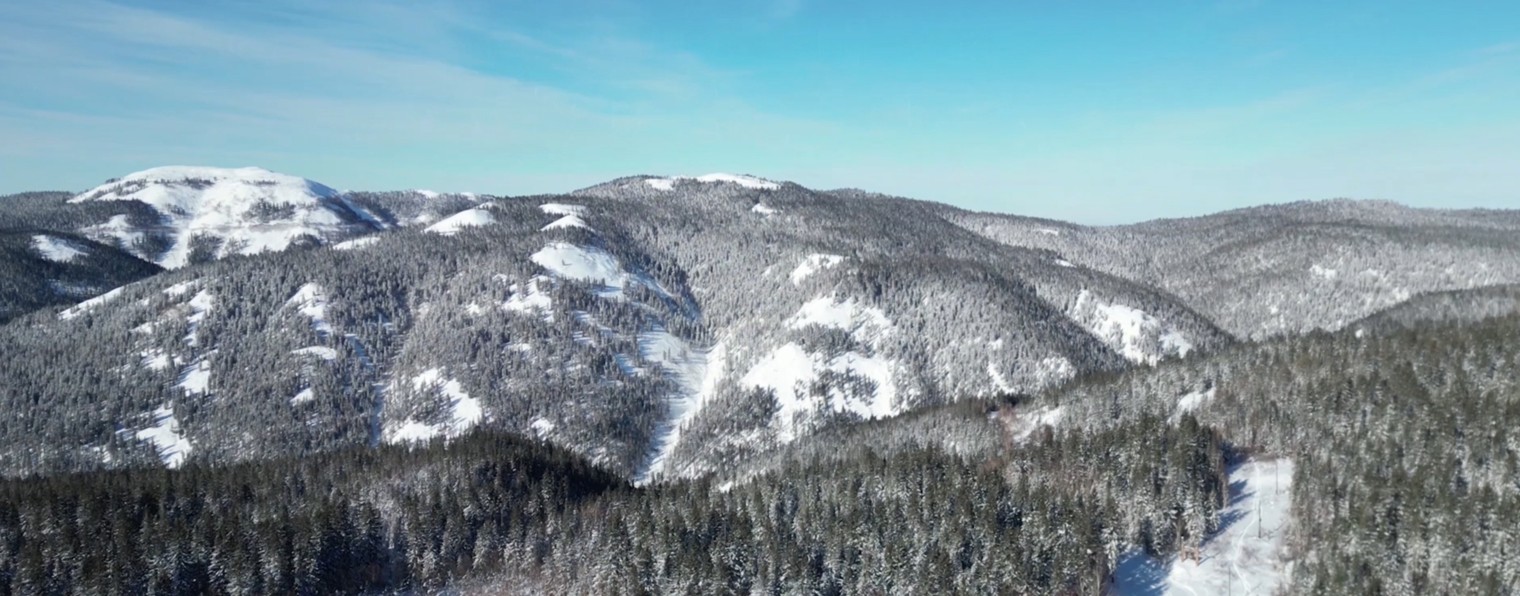 Виктор Потаенко