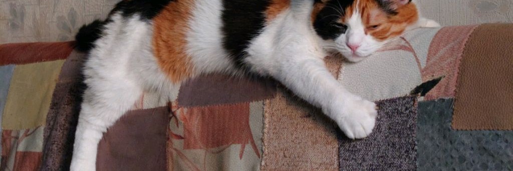 Маринка В Картинке