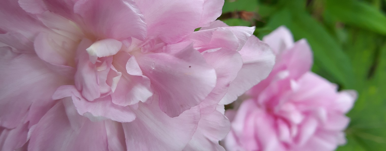 Красота Вселенной