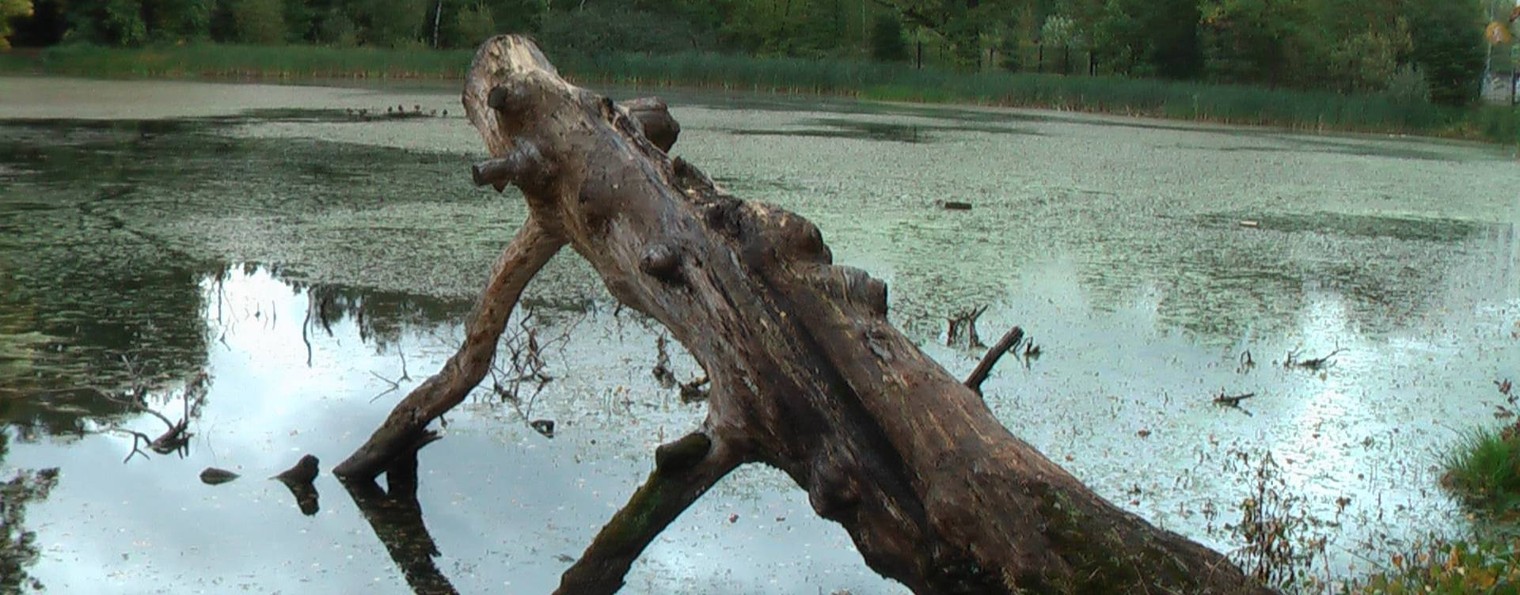 Данилов Борис