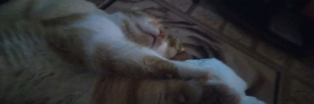 Дима играет